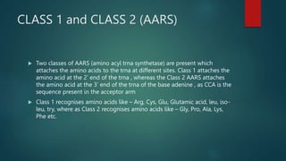 TRANSLATIONAL PROOFREADING BNG.pptx