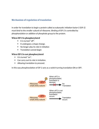 Translational Regulation of Developmental Process.docx