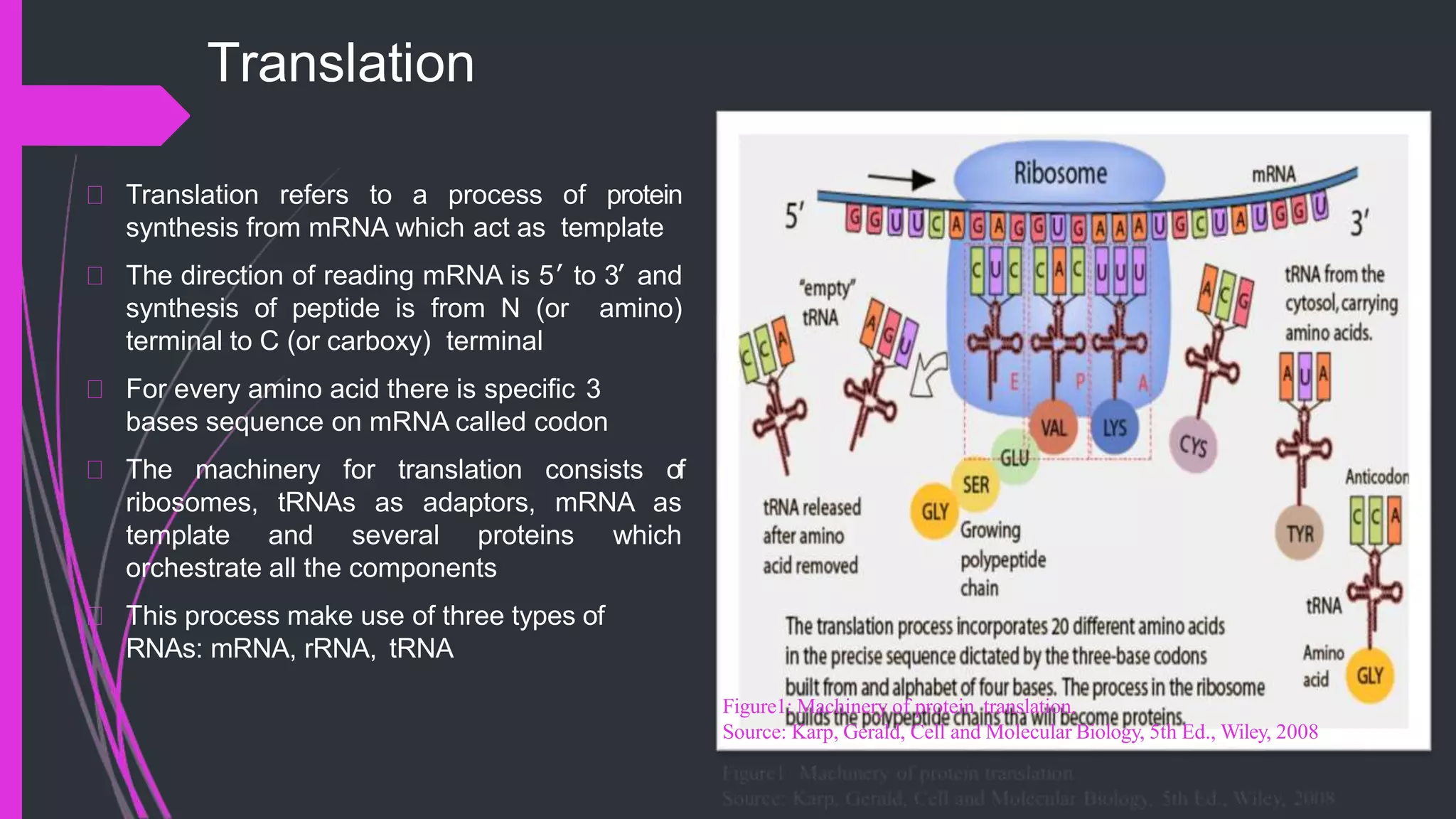 Translation and its regulation post translational modification | PPTX