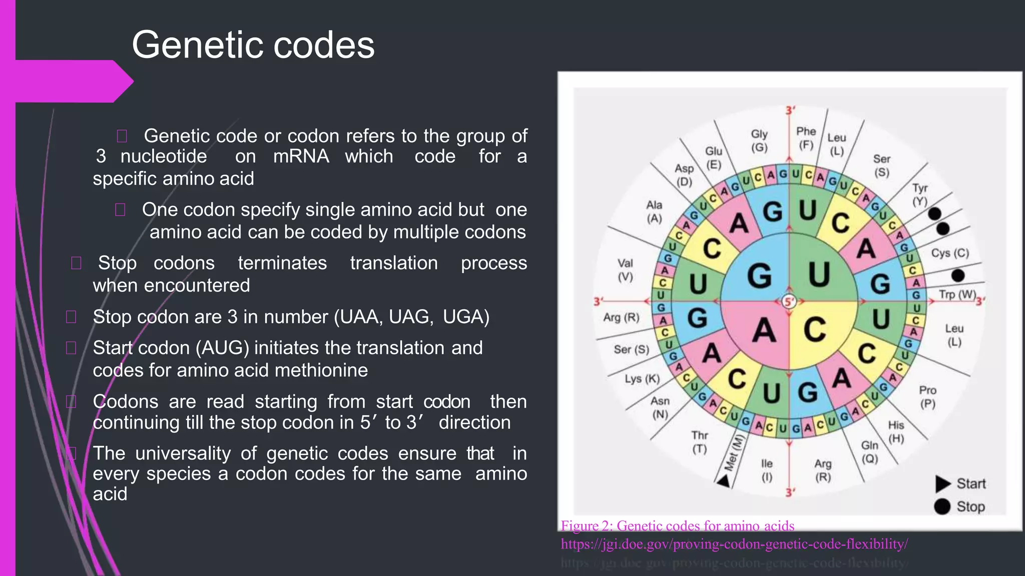 Translation and its regulation post translational modification | PPTX