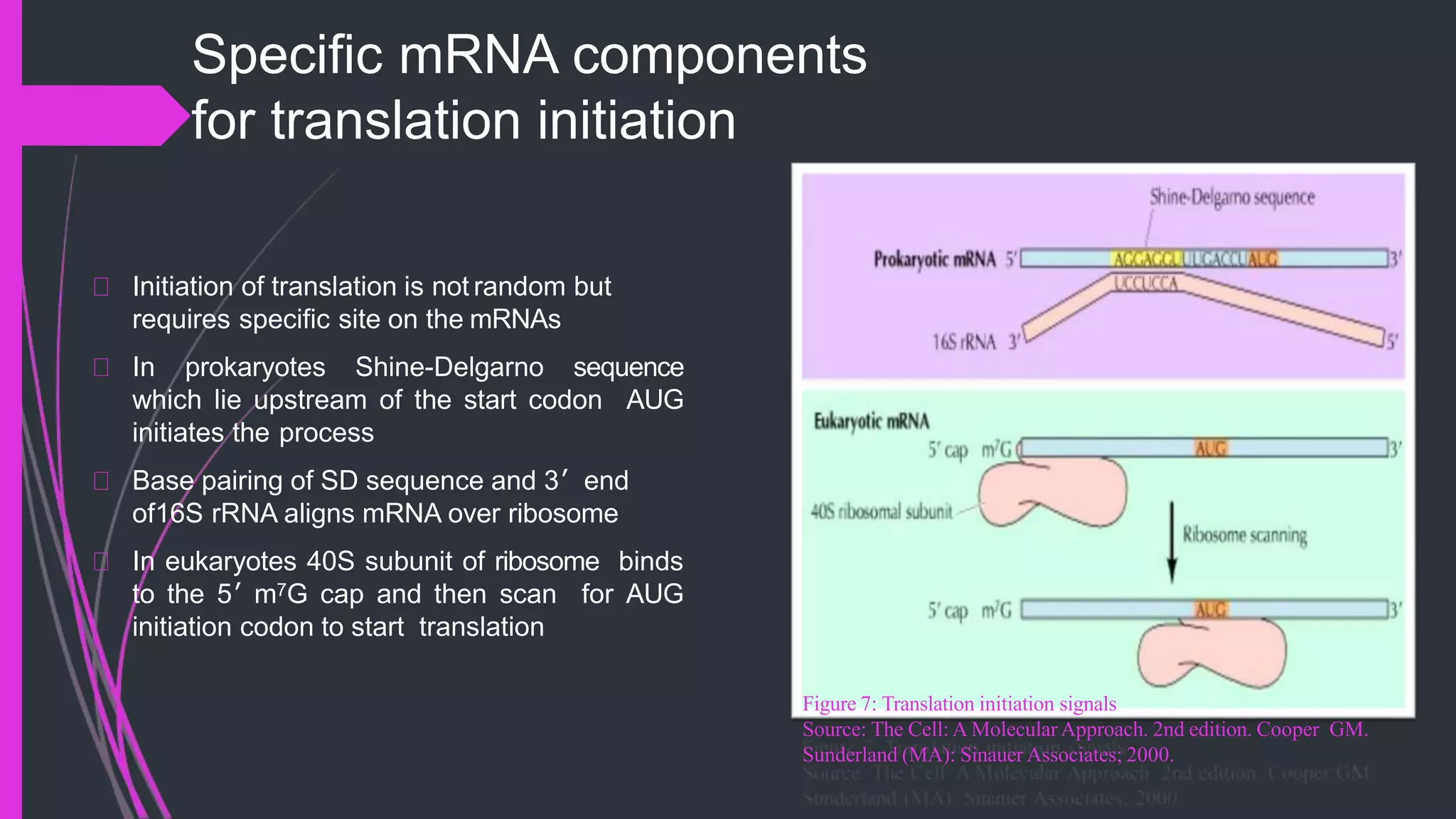 Translation And Its Regulation Post Translational Modification Ppt