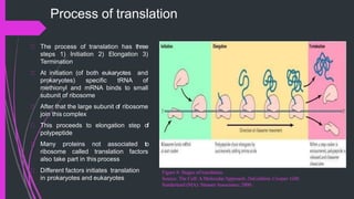 Translation and its regulation post translational modification | PPTX