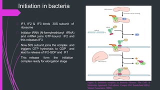Translation and its regulation post translational modification | PPTX