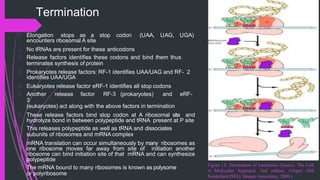 Translation and its regulation post translational modification | PPTX