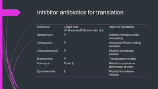 Translation and its regulation post translational modification | PPTX