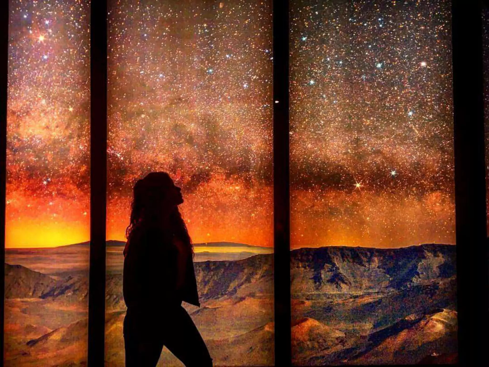 Translation and Language Functions | PPT