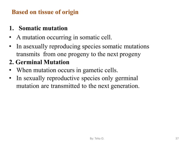Translation and Mutation.pdfhihiiugiujhkujh | PPT