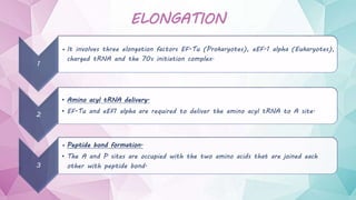Translation and Post Translational Modification | PPTX
