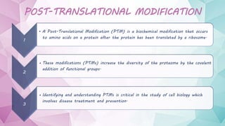 Translation and Post Translational Modification | PPTX