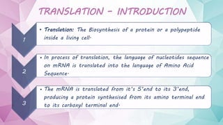 Translation and Post Translational Modification | PPTX