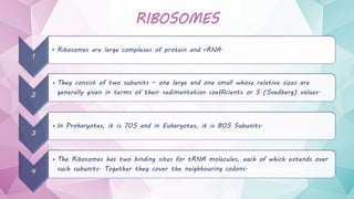 Translation and Post Translational Modification | PPTX
