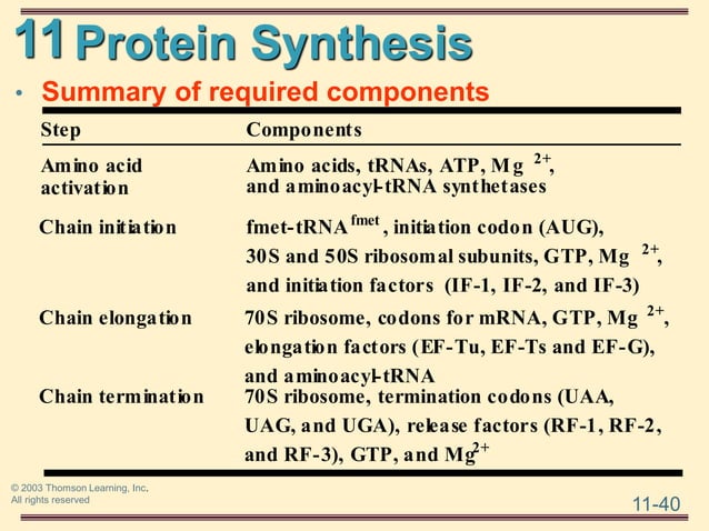 TRANSLATION AND PROTEIN SYNTHESIS.pdf