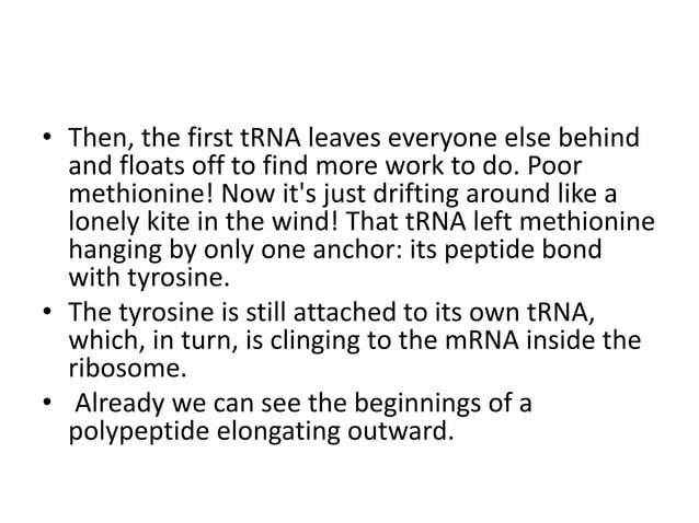 Translation and post translational modifications | PPTX | Programming ...
