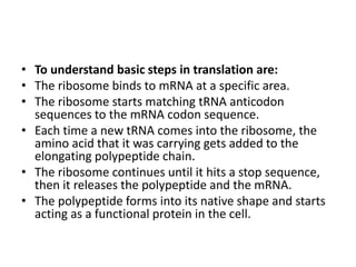 Translation and post translational modifications | PPTX