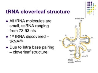 Translation Basics.ppt