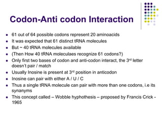 Translation Basics.ppt | Free Download