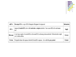 Translation Basics.ppt | Free Download
