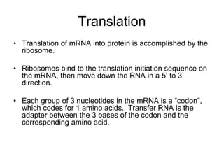 Translation Genetic code & Mutations.pdf