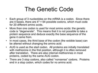 Translation Genetic code & Mutations.pdf