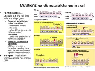 Translation Genetic code & Mutations.pdf
