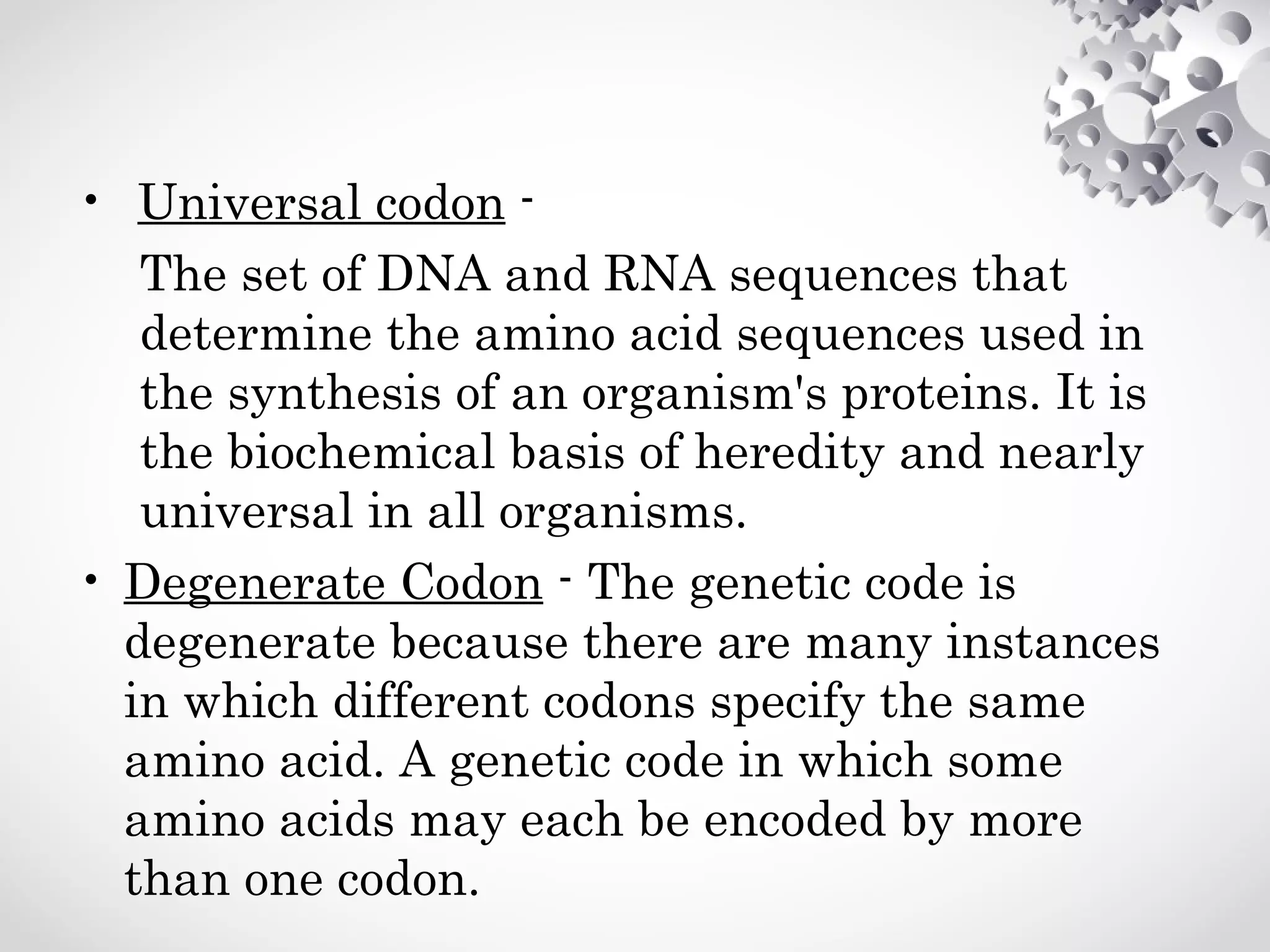 Translation in eukaryotes | PPT