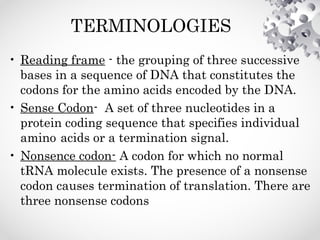 Translation in eukaryotes | PPT