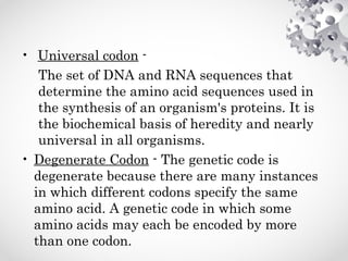 Translation in eukaryotes | PPT