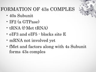 Translation in eukaryotes | PPT