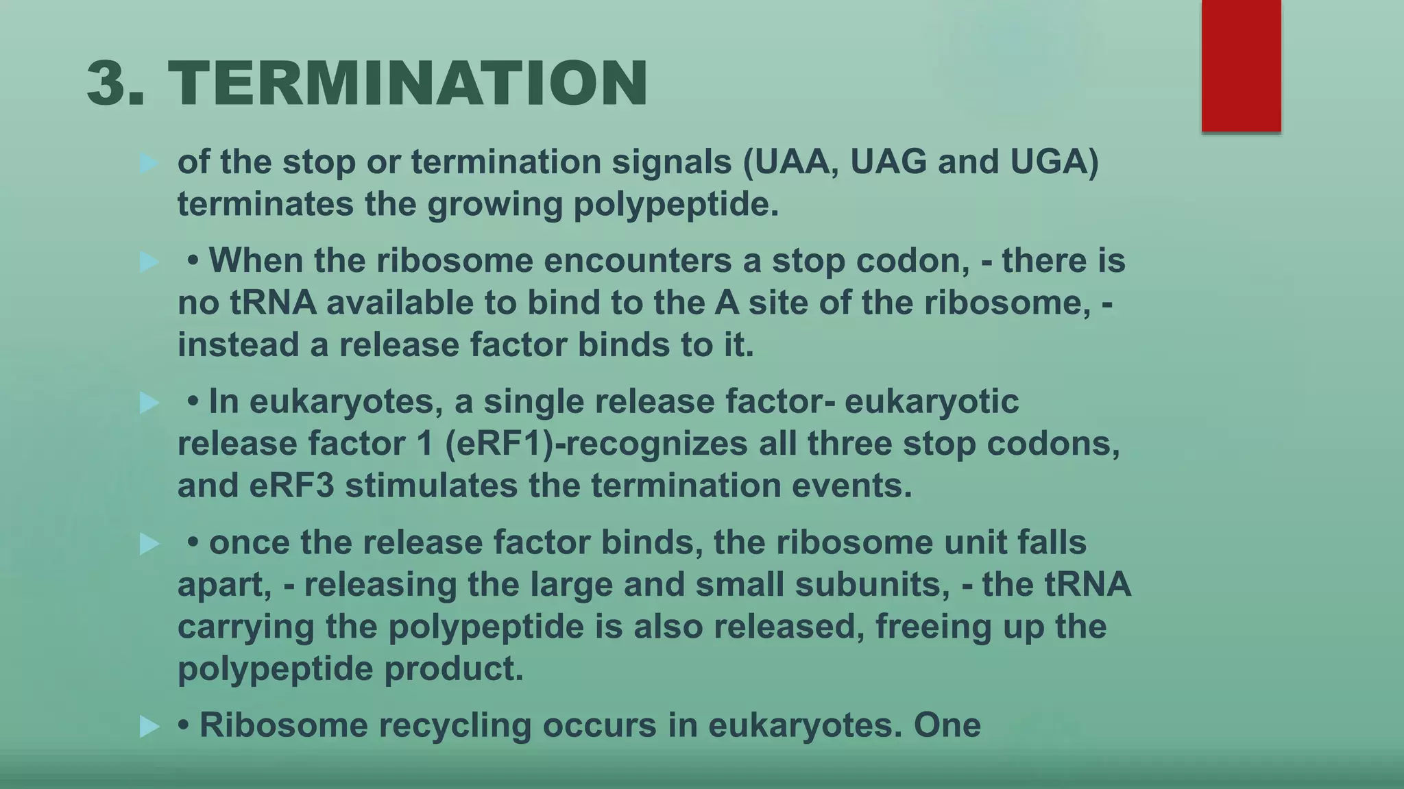 Translation in eukaryotes | PPTX