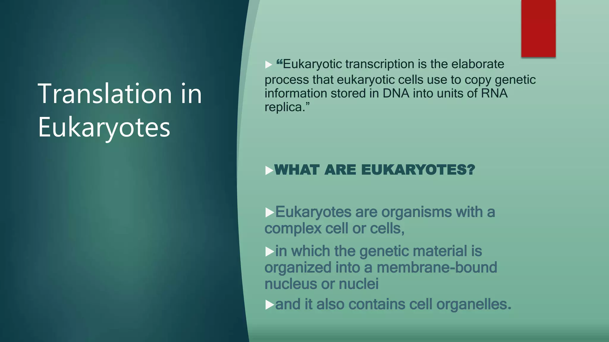 Translation in eukaryotes | PPTX