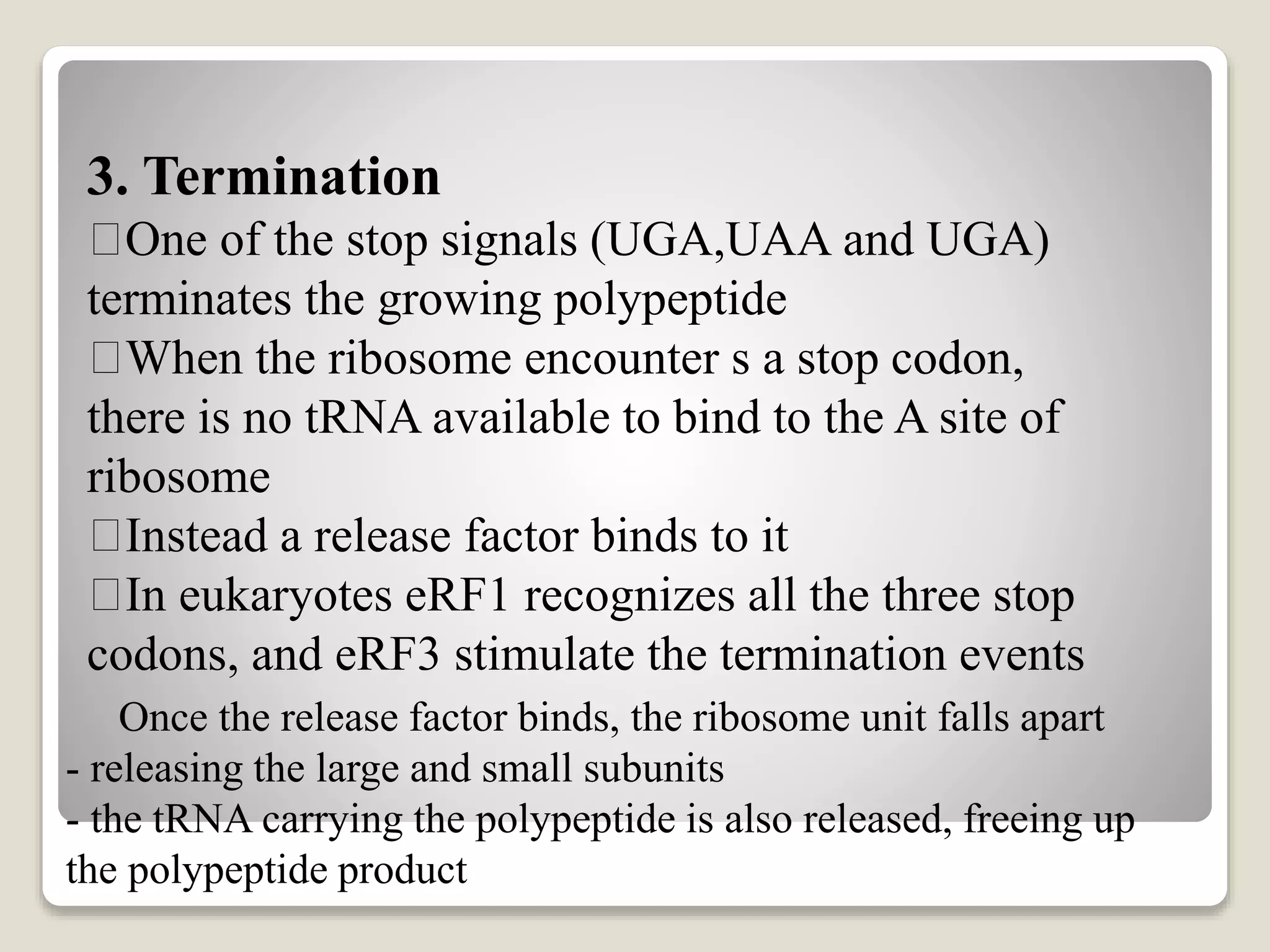 Translation in eukaryotes | PPTX