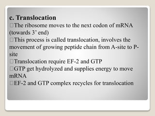 Translation in eukaryotes | PPT
