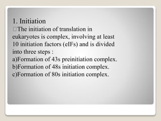 Translation in eukaryotes | PPT