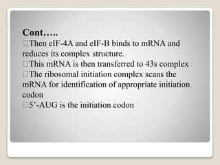 Translation in eukaryotes | PPT