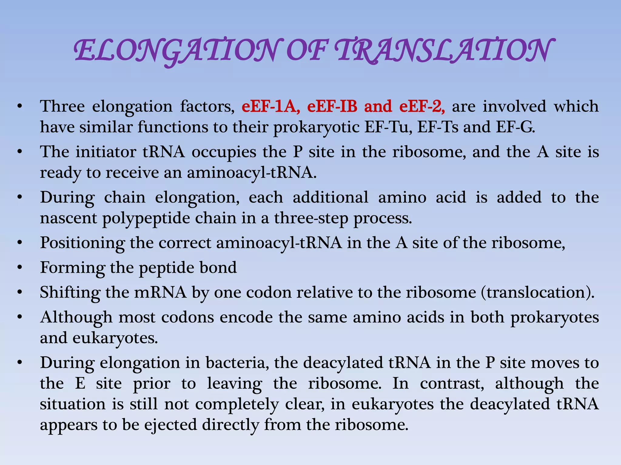 Translation in eukaryotes | PPTX
