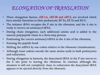 Translation in eukaryotes | PPTX