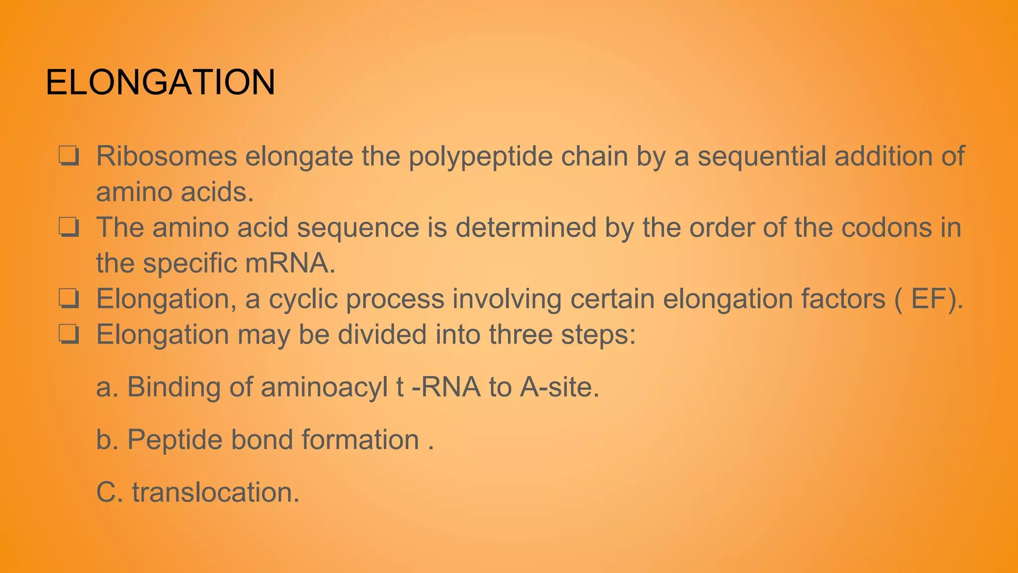 TRANSLATION IN EUKARYOTES.pptx