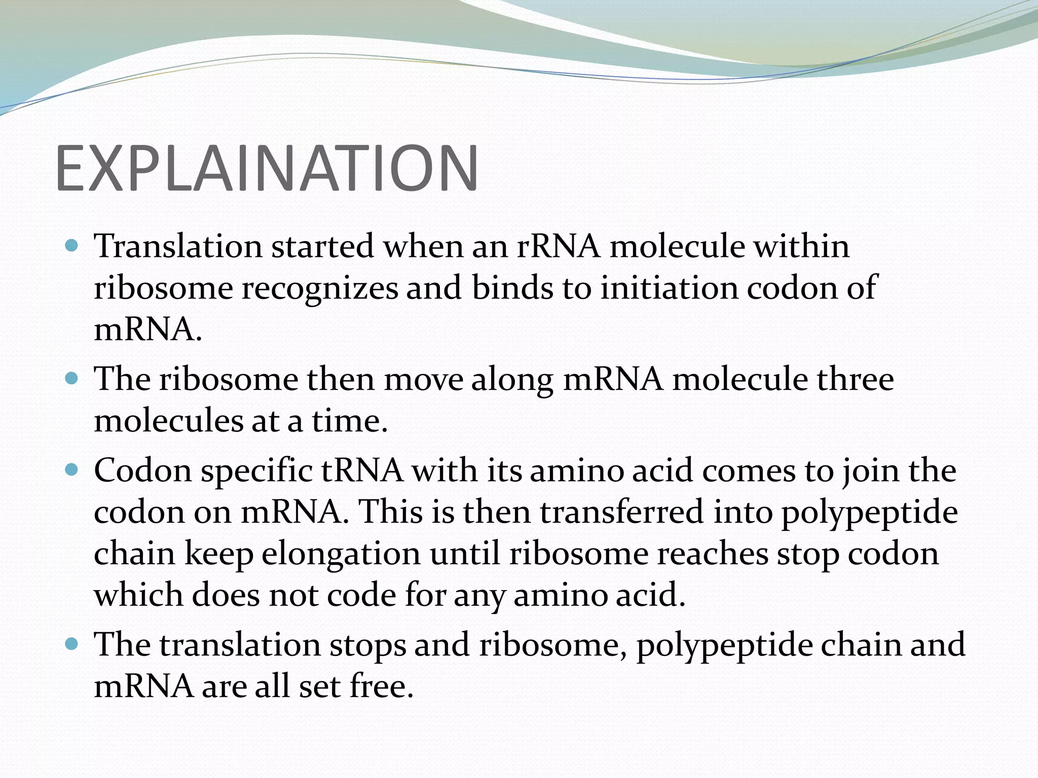 Translation in molecular biology.pptx