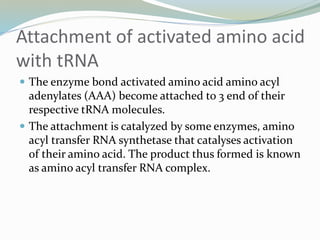 Translation in molecular biology.pptx