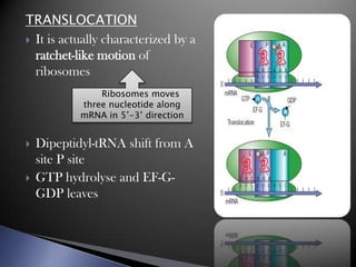Translation in prokaryotes | PPTX