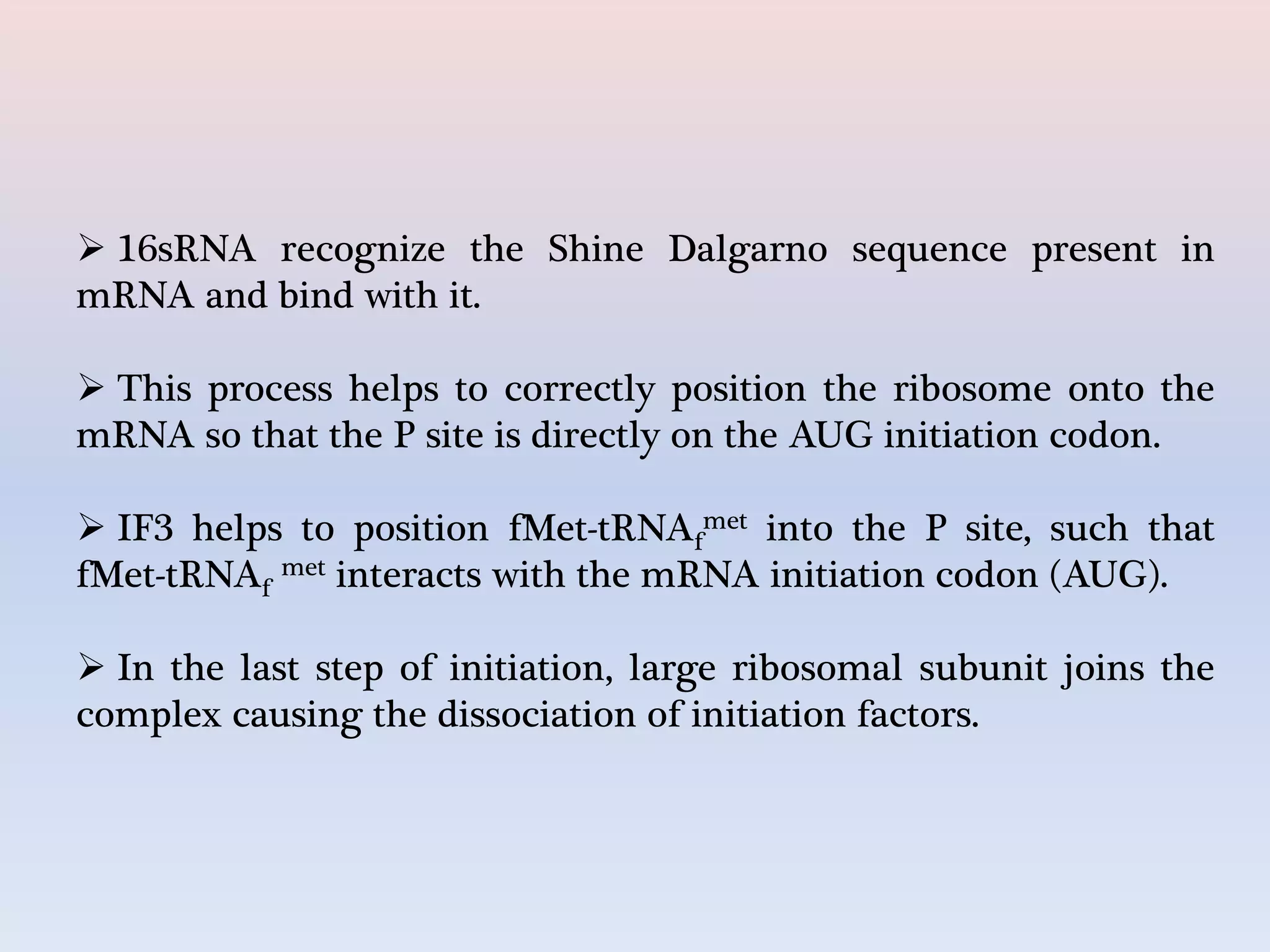 Translation in prokaryotes | PPTX