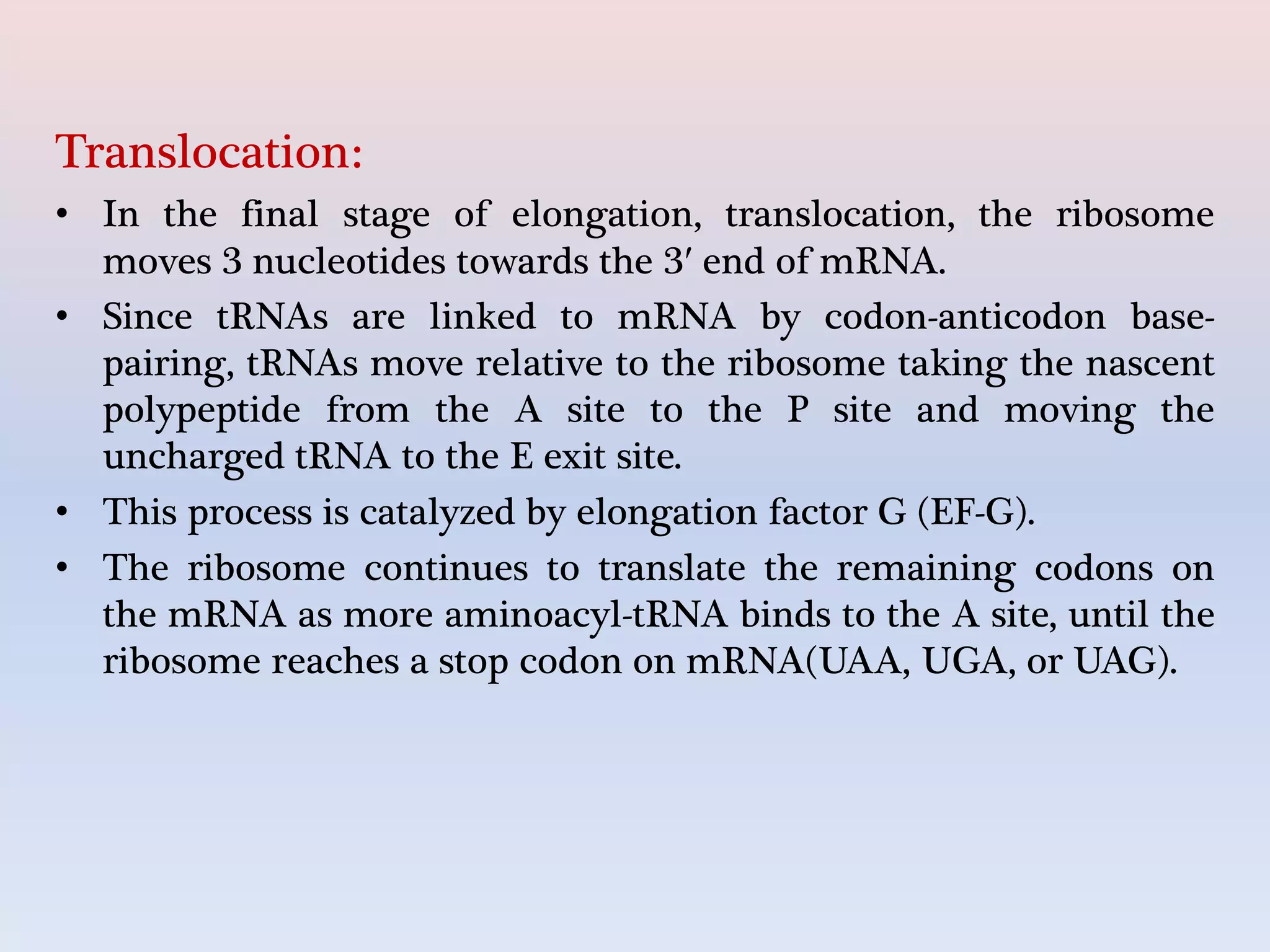 Translation in prokaryotes | PPTX