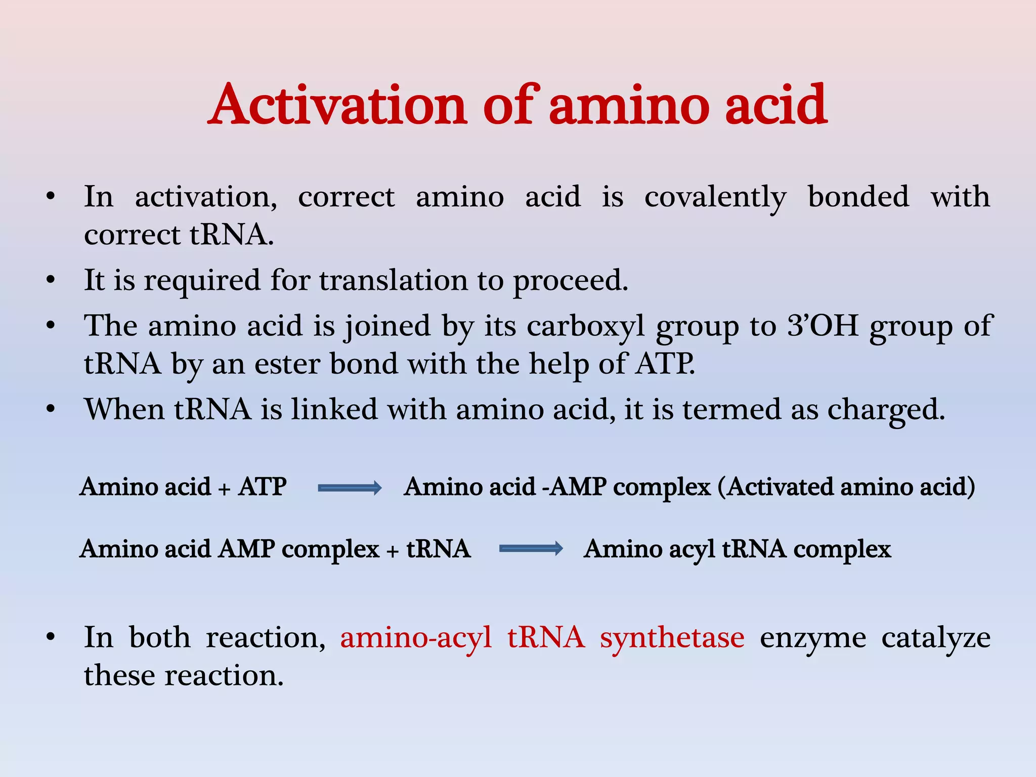 Translation in prokaryotes | PPTX