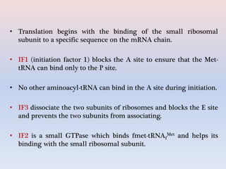 Translation in prokaryotes | PPTX