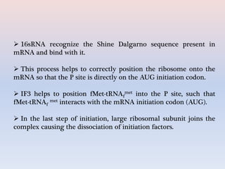 Translation in prokaryotes | PPTX