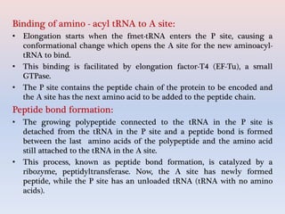 Translation in prokaryotes | PPTX