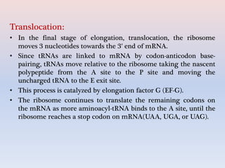 Translation in prokaryotes | PPTX