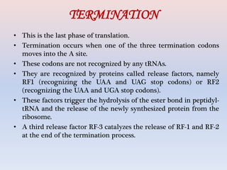 Translation in prokaryotes | PPTX