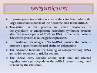 Translation in prokaryotes | PPTX