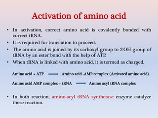 Translation in prokaryotes | PPTX